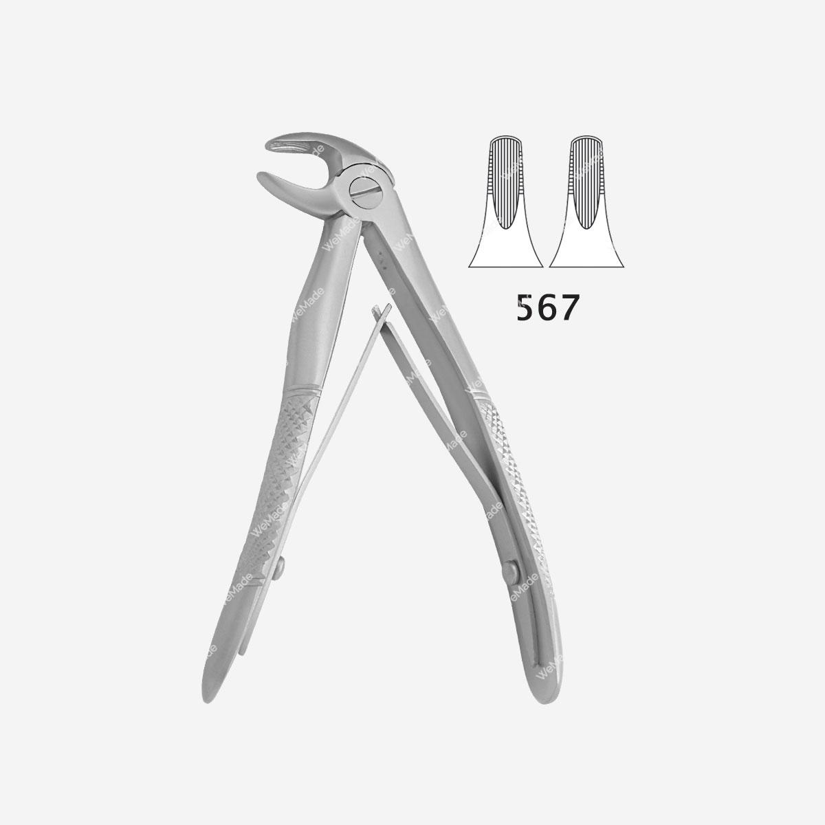 Lower Incisors WeMade lower-incisors-wemade