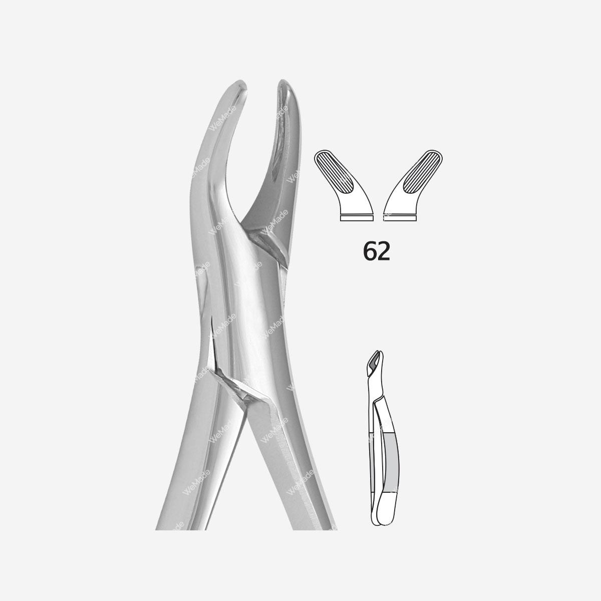 Incisors, premolars, deciduous teeth – WeMade